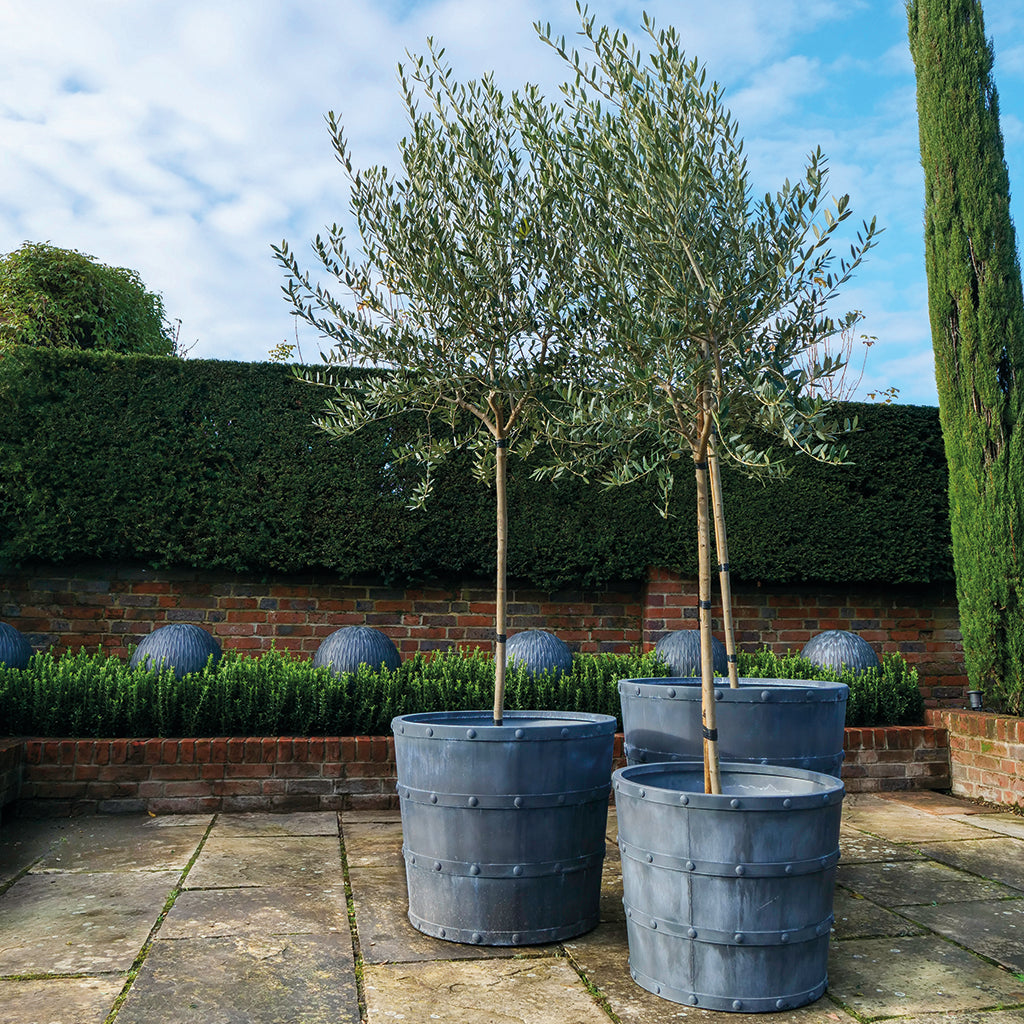 Circular Planters Around Trees Tree Ring & Rustic Steel Planters 15